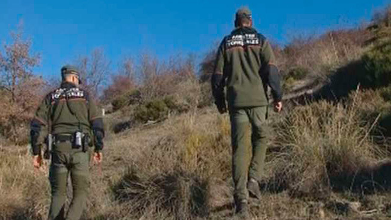 Agente forestal comunidad de Madrid