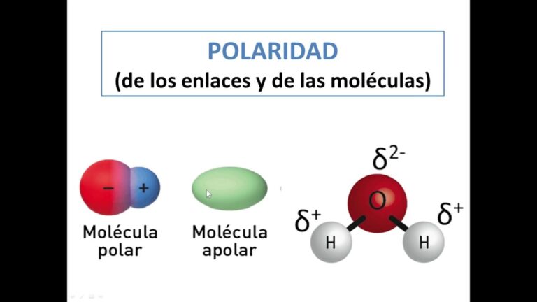 Moleculas polares y apolares ejemplos