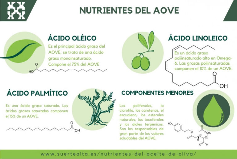 Qué nutrientes contiene el aceite de oliva